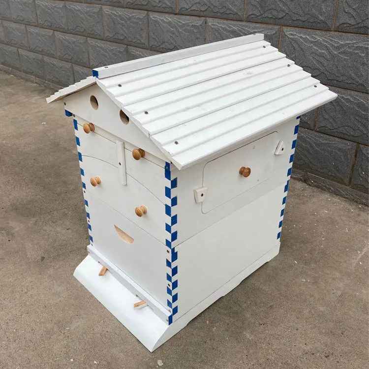 Pine or Fir Wood Langstroth Beehive - Quality & Durability