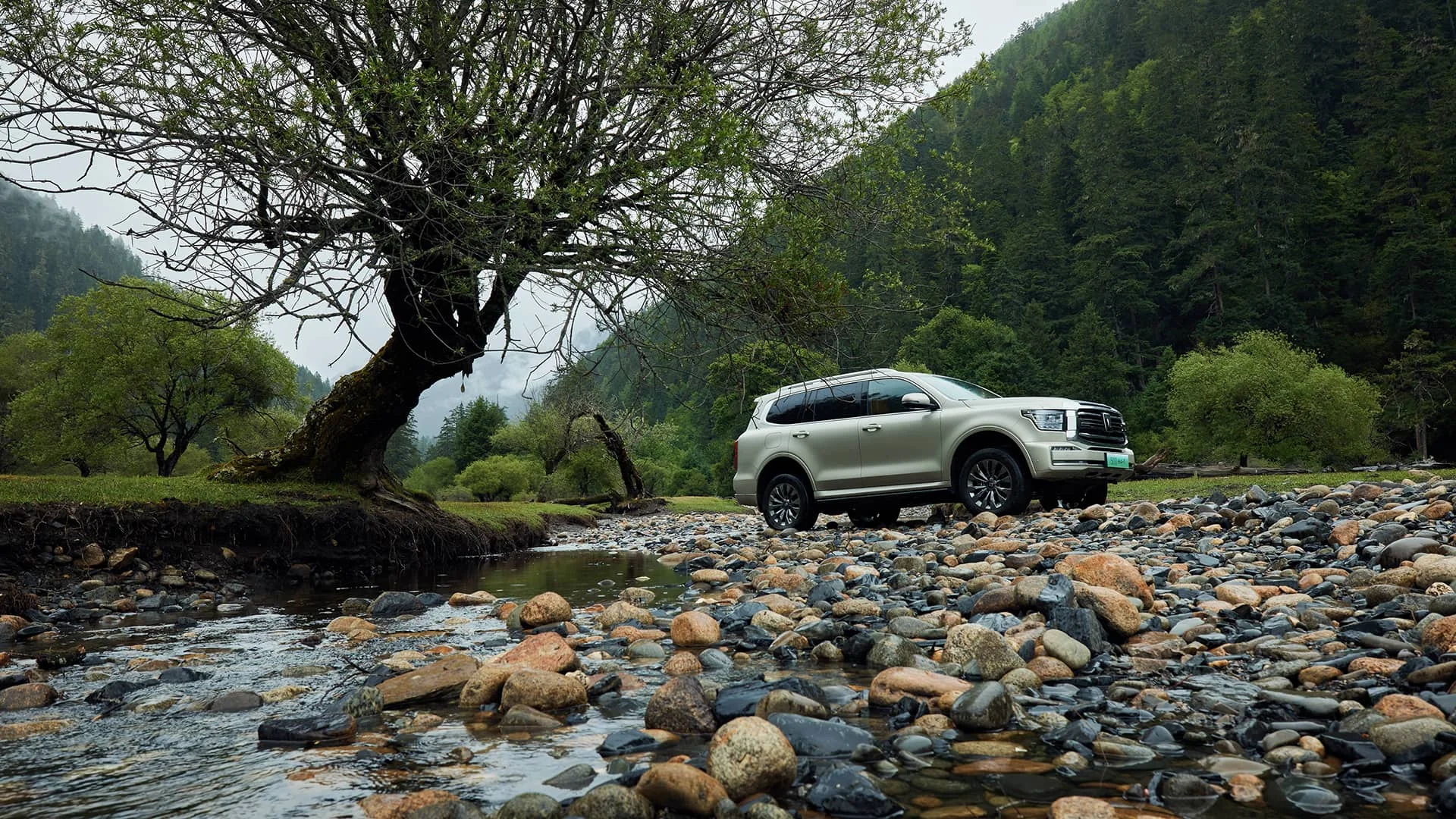 2024 Great Wall Tank500 Car Gasoline Car 3.0t Tank 500 3.0 V6 4wd 360hp China 4x4 Suv Luxury ...