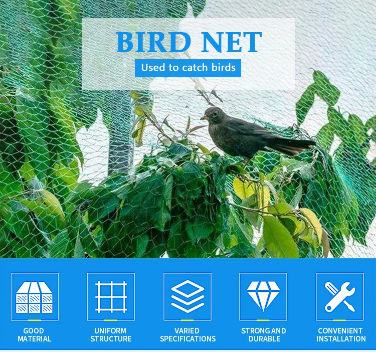 High Quality Anti Bird Protect Netanti Bird Proof Net For Vineyard - Buy Bird Nets For Catching ...