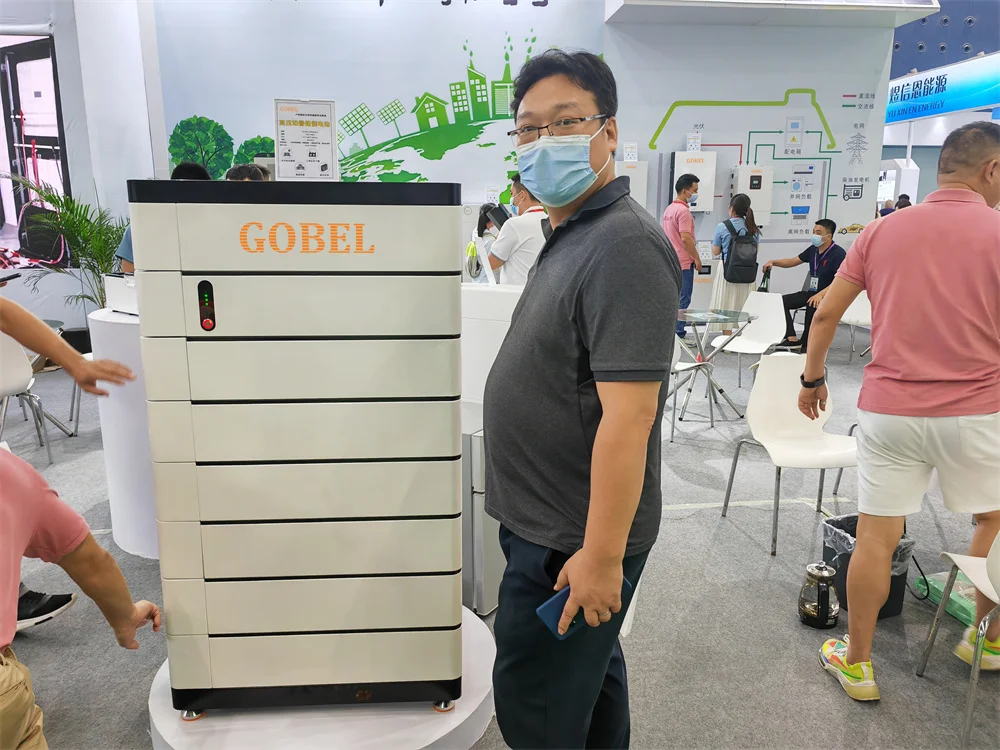 Gobe Power 51.2v Lithium Ion Lifepo4 Battery 280ah Server Rack Battery ...