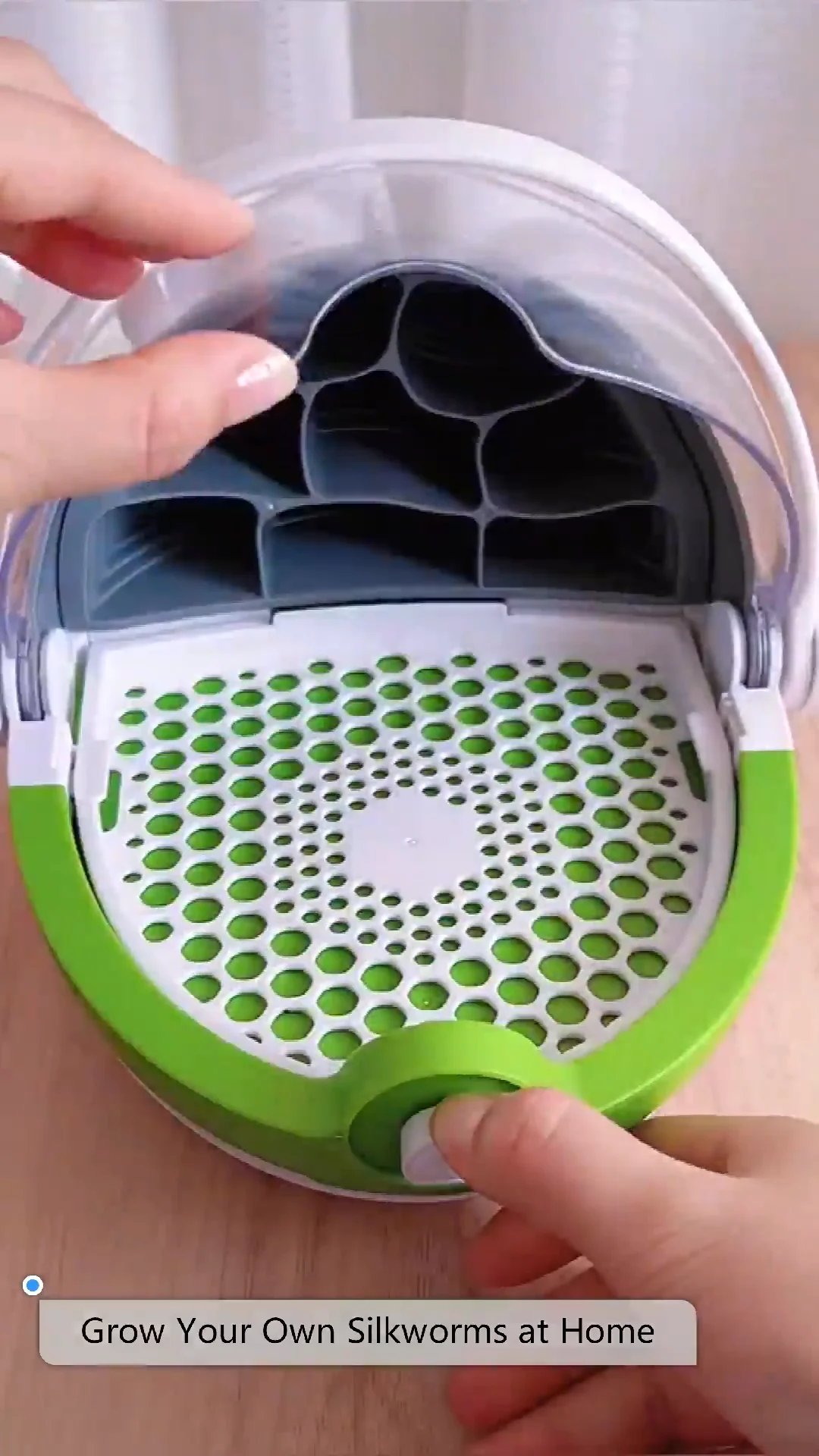 Science Can Baby Silkworm Breeding Capsule Children Insect Observation ...