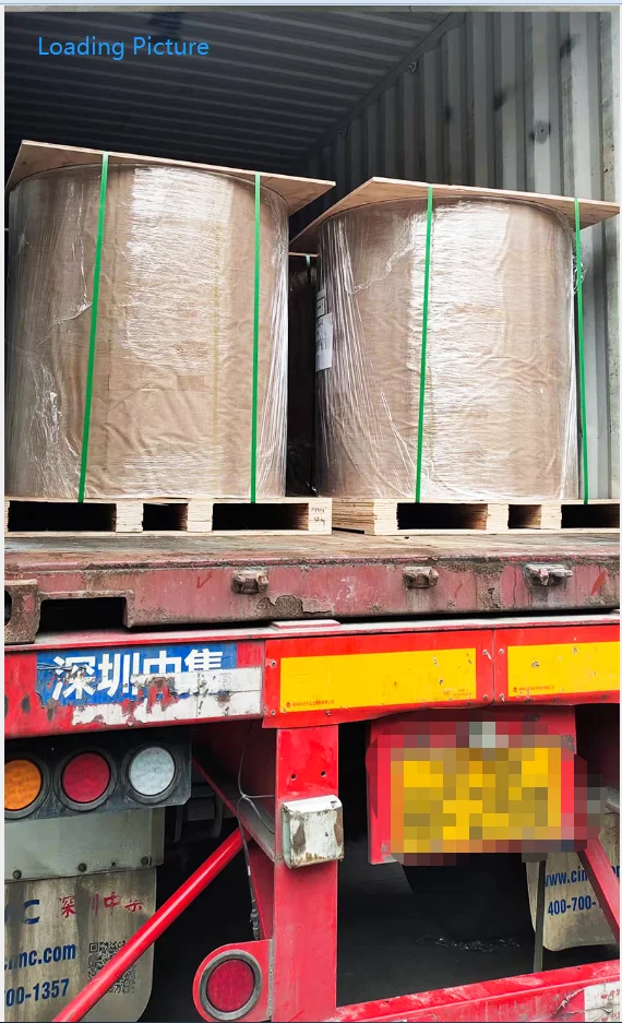 Direct Sales PP Label Jumbo Roll - Self-Adhesive Sticker