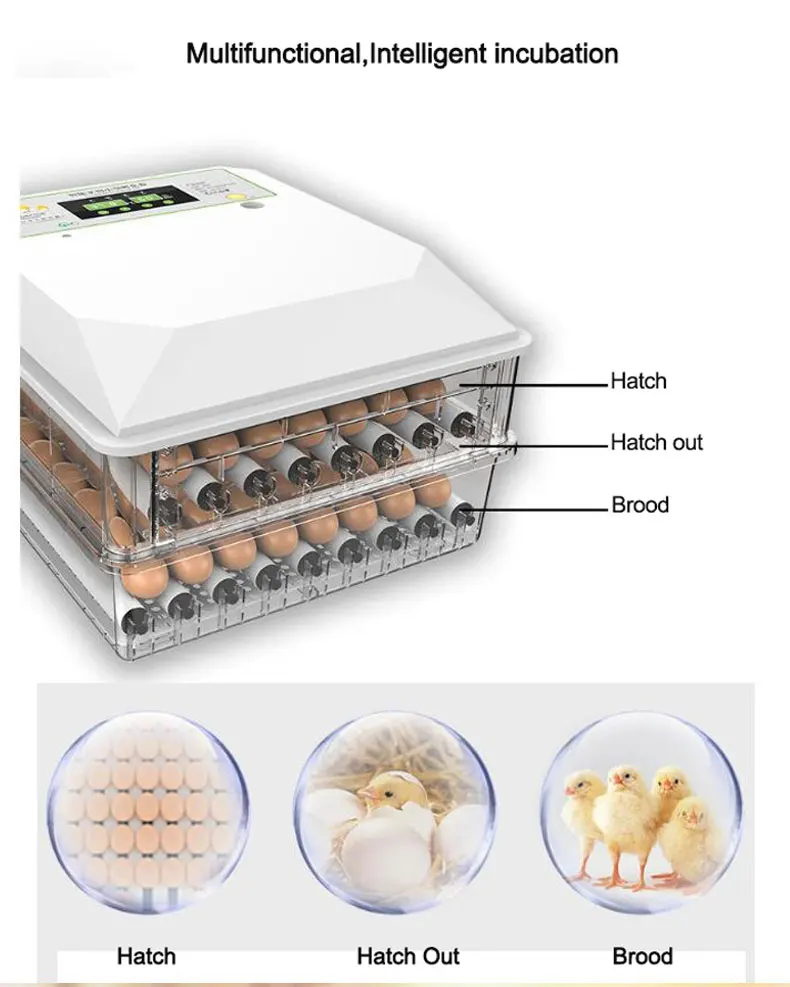 16-24 Pcs Mini Egg Incubator Model Selection Fully Automatic Mini Eggs ...