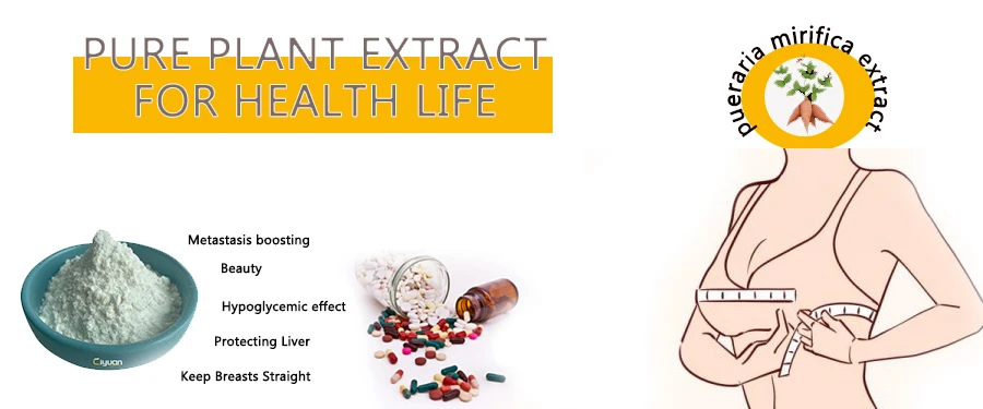 Factory Supplier Direct Pueraria Mirifica Extract Pueraria Root Extract ...