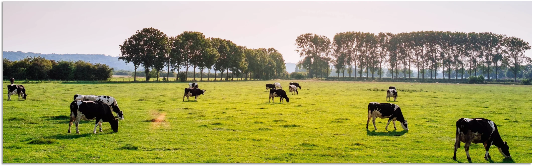Lorawan Cattle Bolus Tracking Device - Intelligent Monitoring