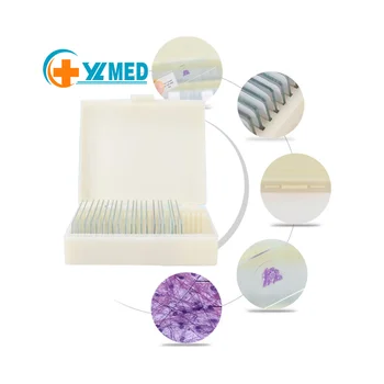 Teaching Resources Mammalian Histology Slides Slides Prepared With A ...