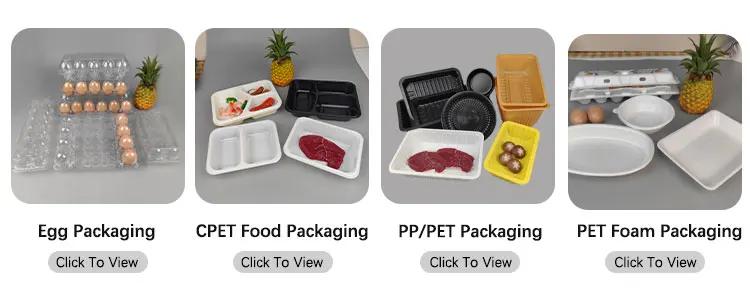 CPET Plastic Food Container Oven Microwave Safe Disposable Recyclable ...