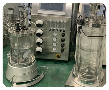 Lab Scale Bioreactor Bench Top Bioreactor Small Glass Bioreactor ...