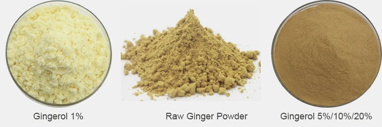 Wholesale 1% 5% 10% 20% Gingerol Bulk Organic Ginger Root Extract ...
