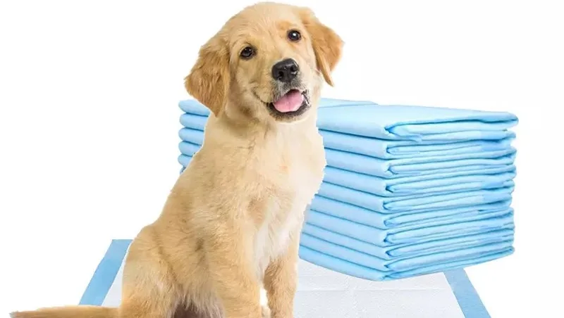 Wholesale Puppy Training Pads Pet Dog Pee Pads - Buy Pet Mats & Pads ...