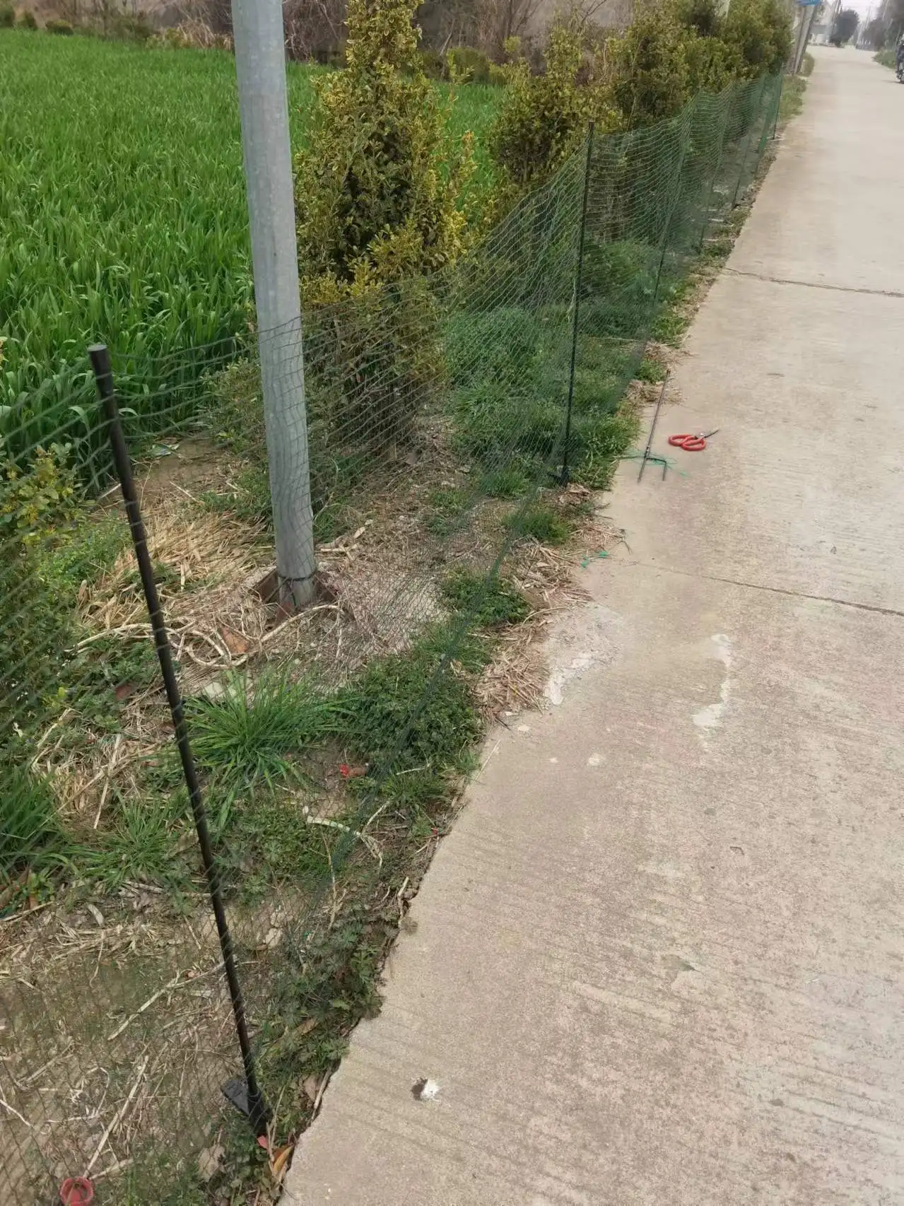 Fence Net. Pe Chicken Net. Poultry Net. - Buy Fence Net Pe Chicken Net ...