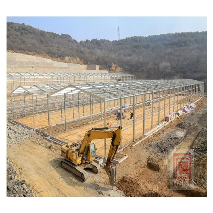 Prefabricated Portal Frame Steel Structure Poultry Shed Chicken Farm ...