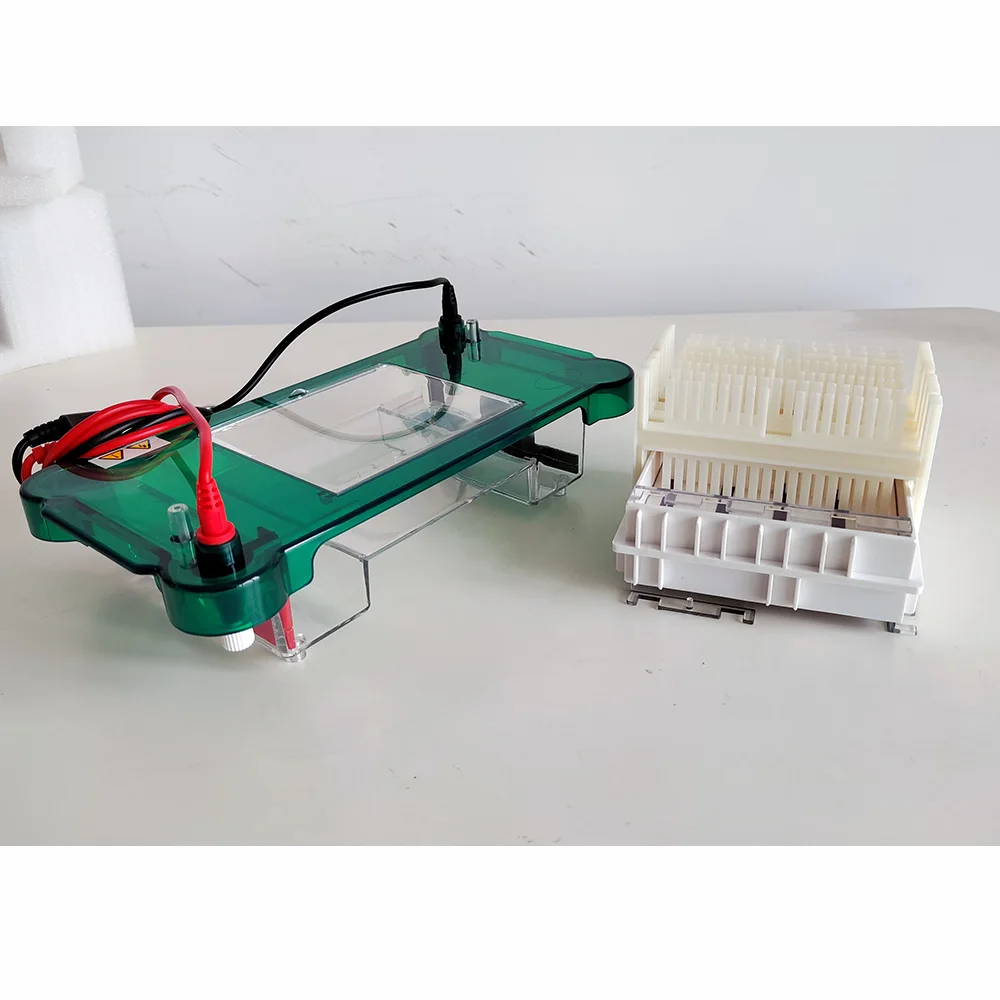 Dw-spct Gel Electrophoresis Tank Lab Gel Electrophoresis System Dna ...