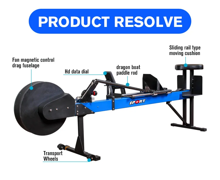 Dragon Boat Ergometer - Efficient Rowing Exercise Equipment