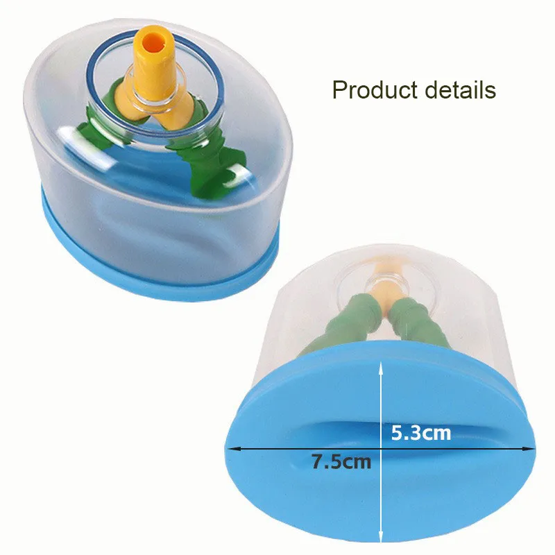Human Respiratory System Demonstration Model Lung Anatomy Teaching ...