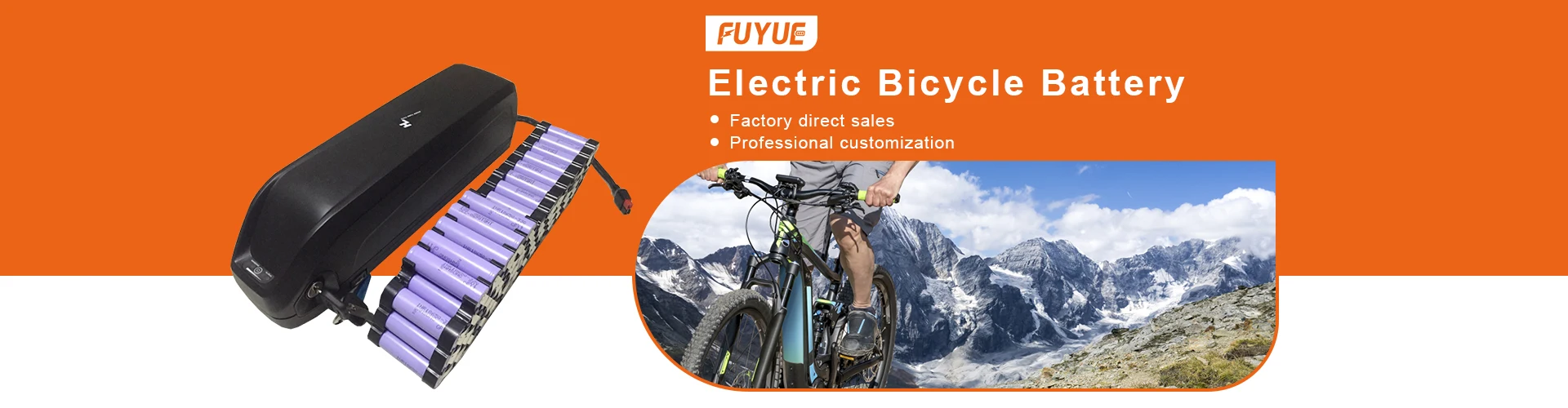 Dongguan Fuyue Electronics Co., Ltd. - battery, lithium battery
