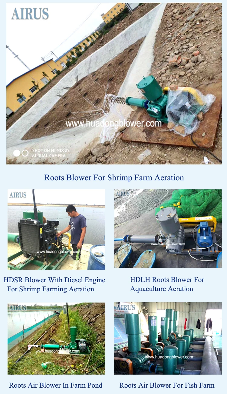 Industrial HDSR 3 Lobe Roots Blower - High Productivity