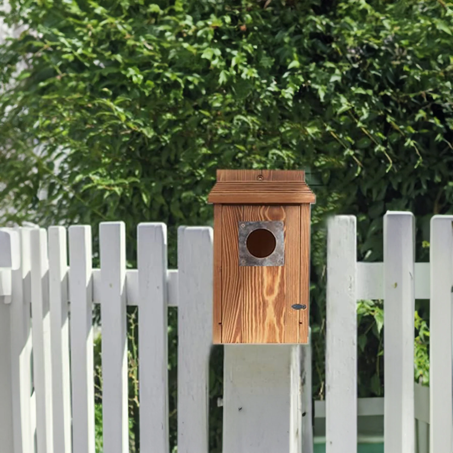 Wooden Nesting Boxes For Outside With Metal Predator Guard For Bluebird ...