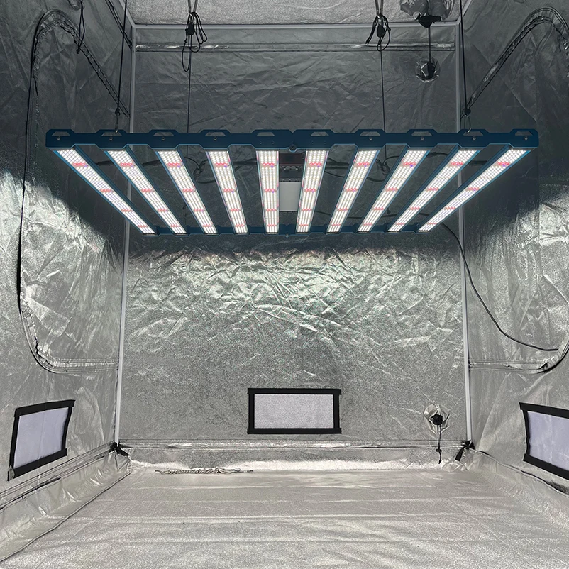New Arrival 2024 Kingbrite 1000w Samsung Lm301h Evo With Osr 660nm Uv ...