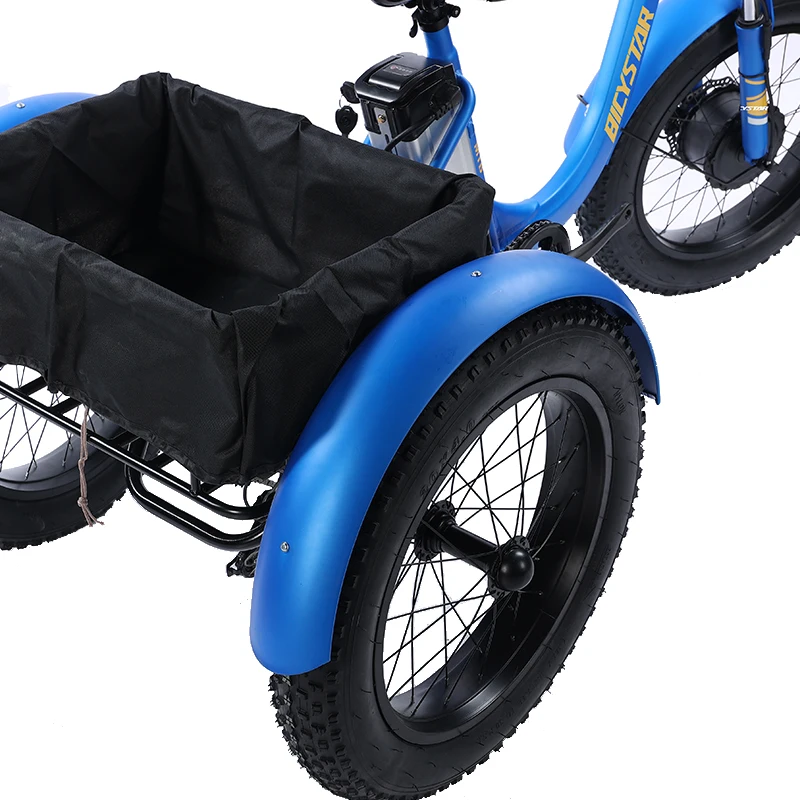 Eec 20 Inch Adult Tricycle/adult Cargo Tricycle For Sale/adult 3 Wheel ...