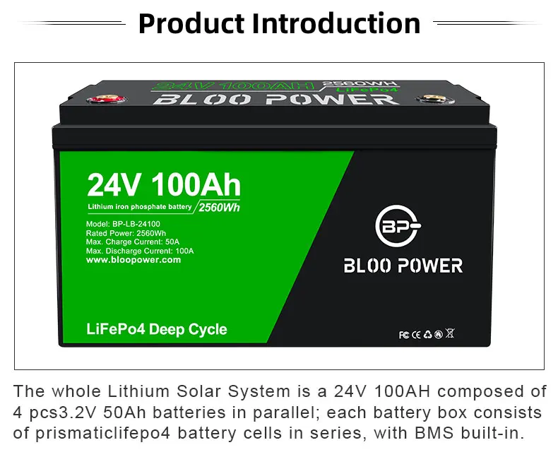 12V 24V 100ah 200ah Lithium Battery Packs for Golf Carts & Yachts