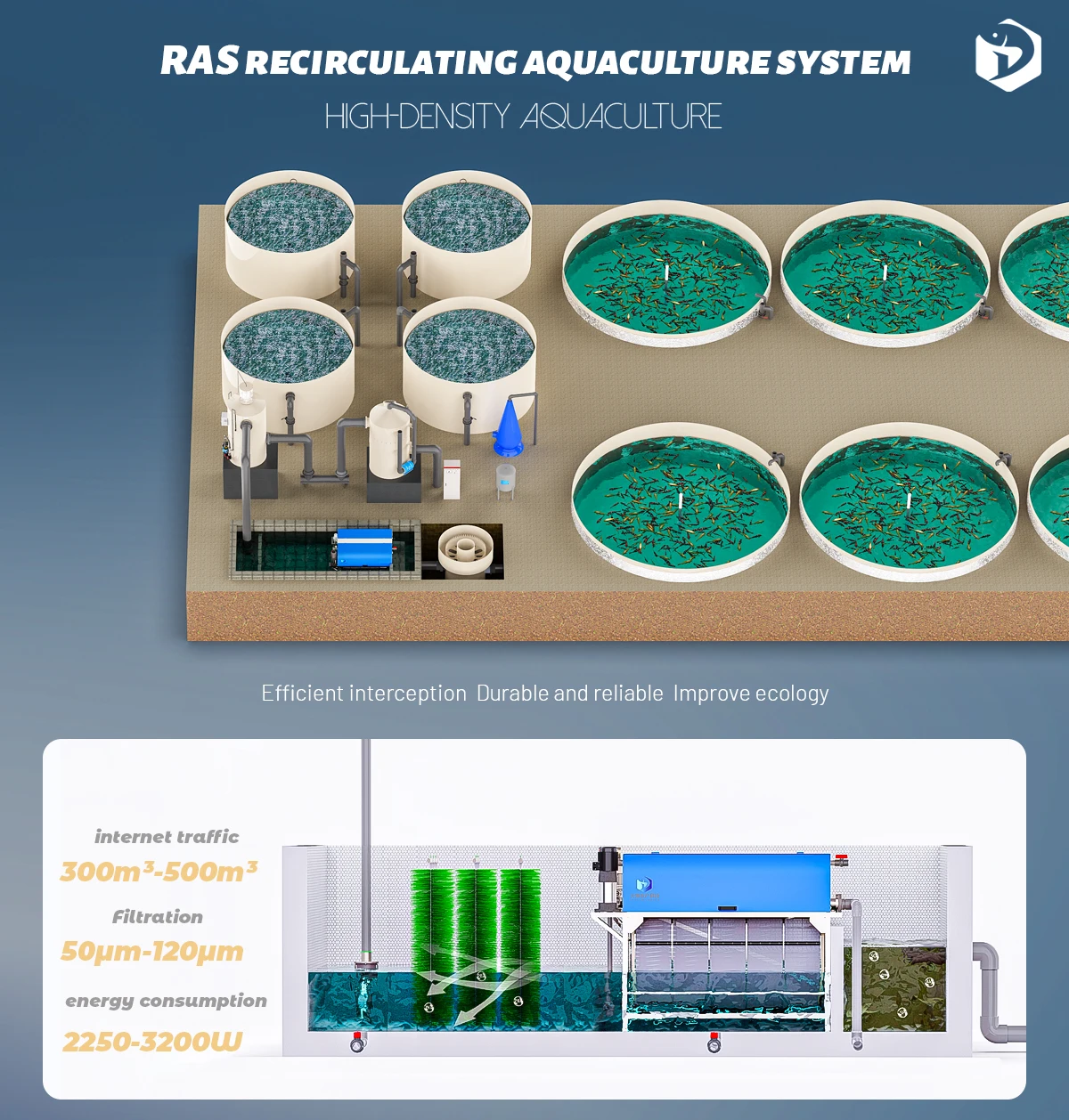Recirculating Aquaculture System (RAS) for Sustainable Fish Farming