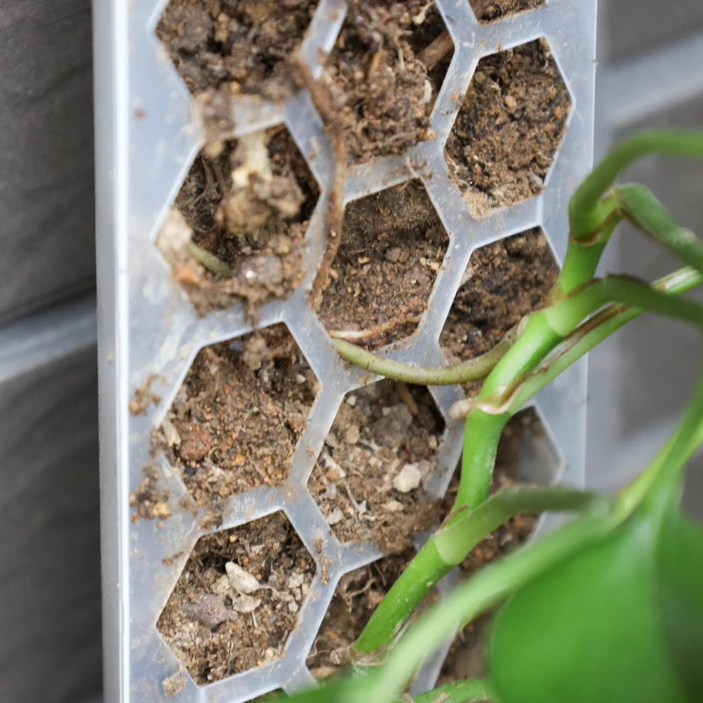 Eastommy Et-583905 Lattice Wall Expandable Plant Garden Water Moss Wall ...