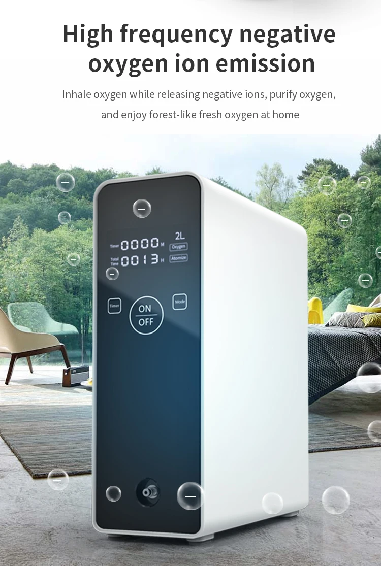 Portable Oxygen Concentrator For Cars Oxygenator Concentrador De ...