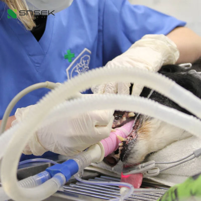 Snsek-CG40 Dog Tracheal Tube Supraglottic Airway Devices Used in ...