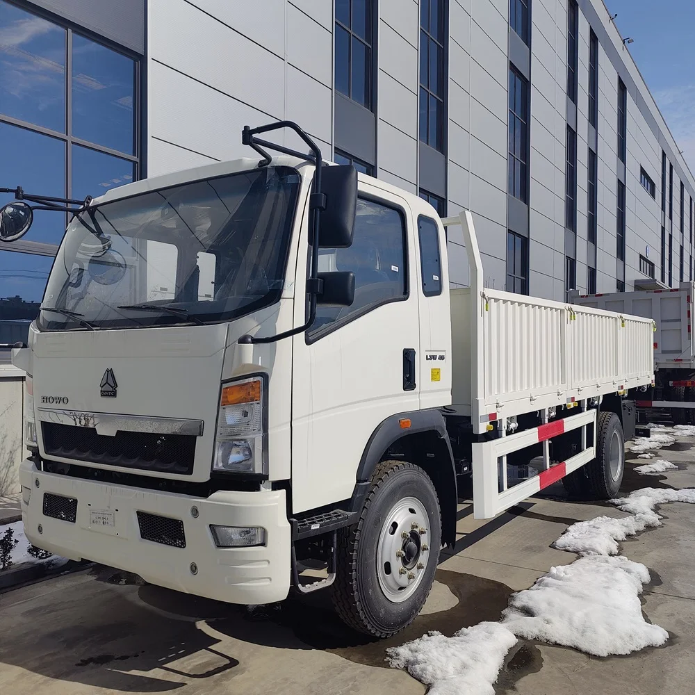 Chinese Brand New Popular Model HOWO Foton Small 3-5 Tons Light Duty ...