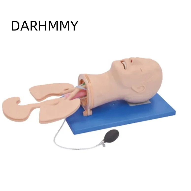 DARHMMY Advanced Multifunctional Airway Management Model