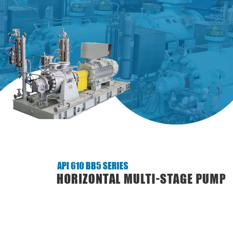 Lean Amine Pump - High Efficiency for Natural Gas Purification