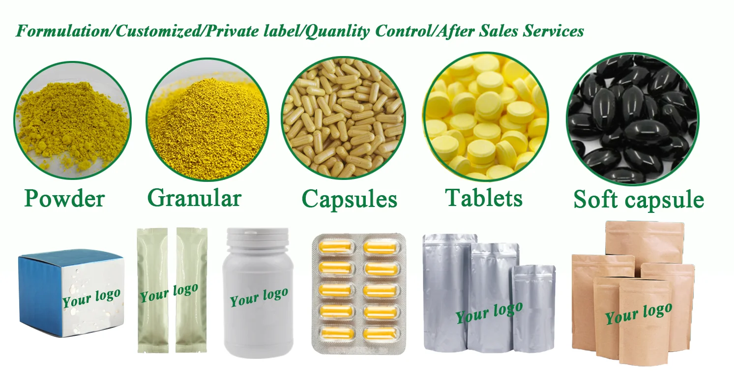 ISO Certification Phytoplankton Marine Phytoplankton Nannochloropsis ...