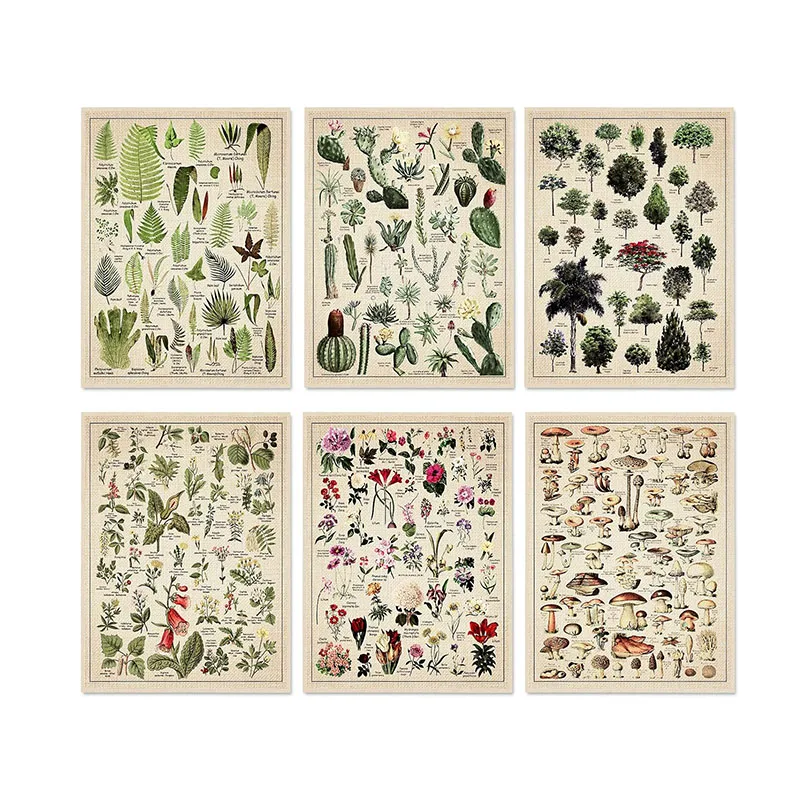 Education Poster Set English Medical Anatomy Hospital Classrooms School ...