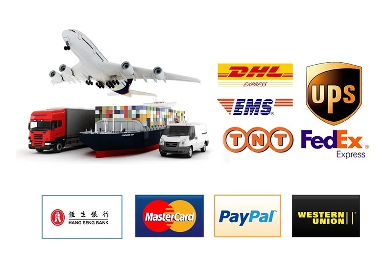 Trans Blot Turbo TBT-1000 - Efficient Semi-Dry Transfer