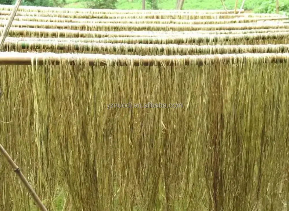 Philippines Abaca Fiber Decorticator - Efficient & Durable
