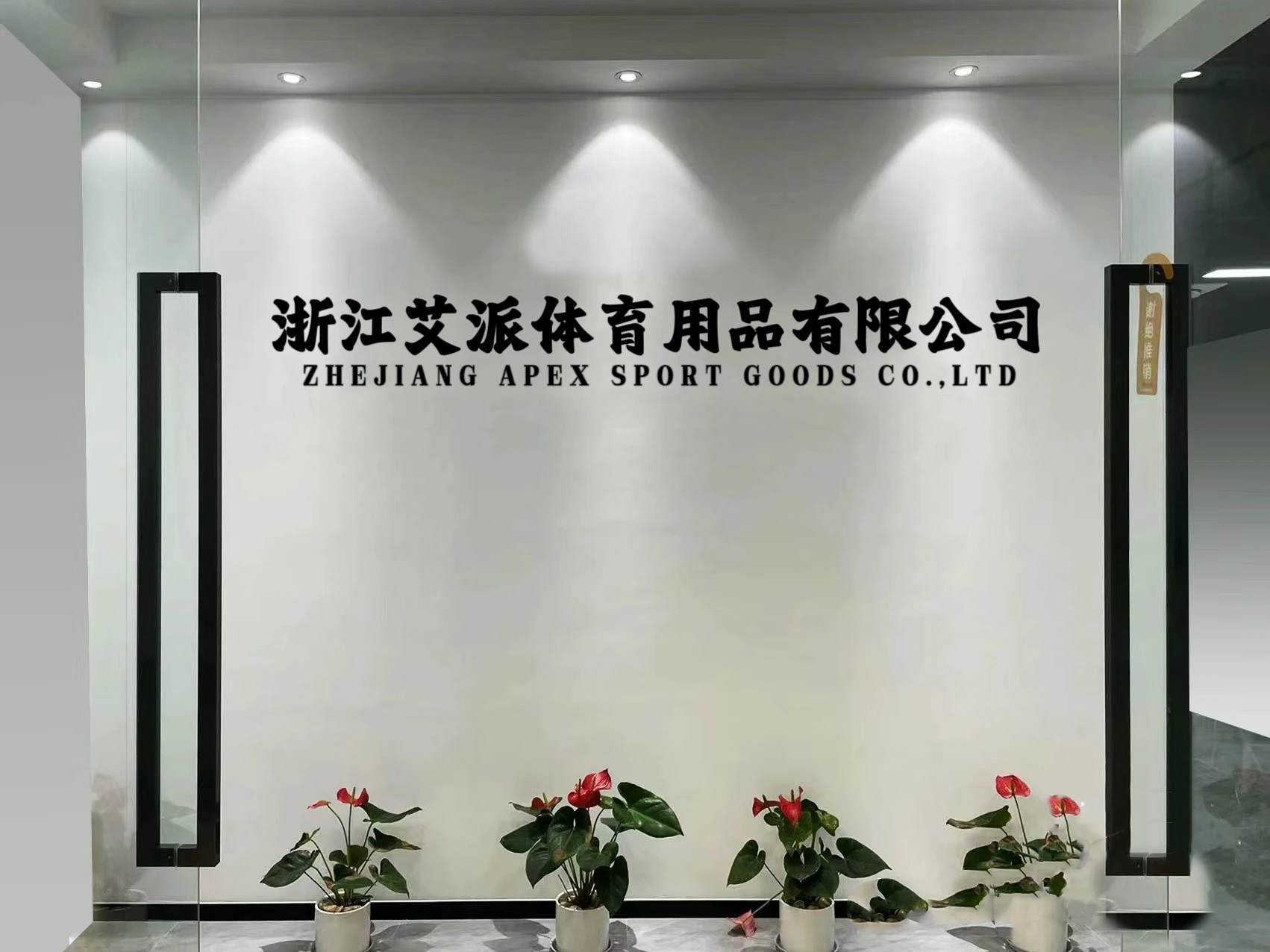 Pure-foam Boom Core GEN4.5 Pickleball Paddle - USAPA Approved