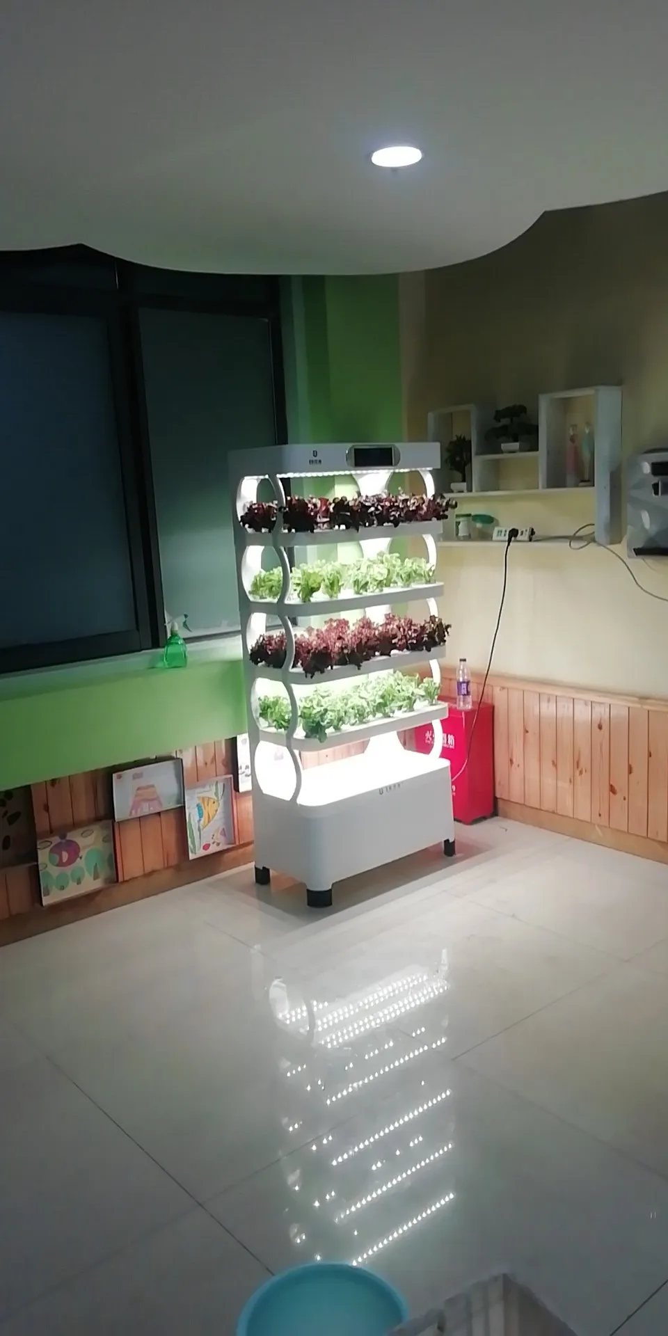 Lyine Intelligent Hydroponic Growing System for Home Use