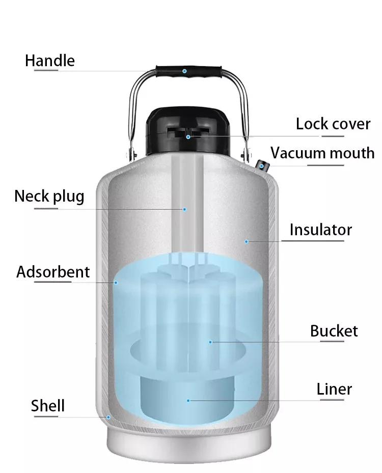 Liquid Nitrogen Container Dewar YDS - Cost-Effective Cryogenic Tanks ...