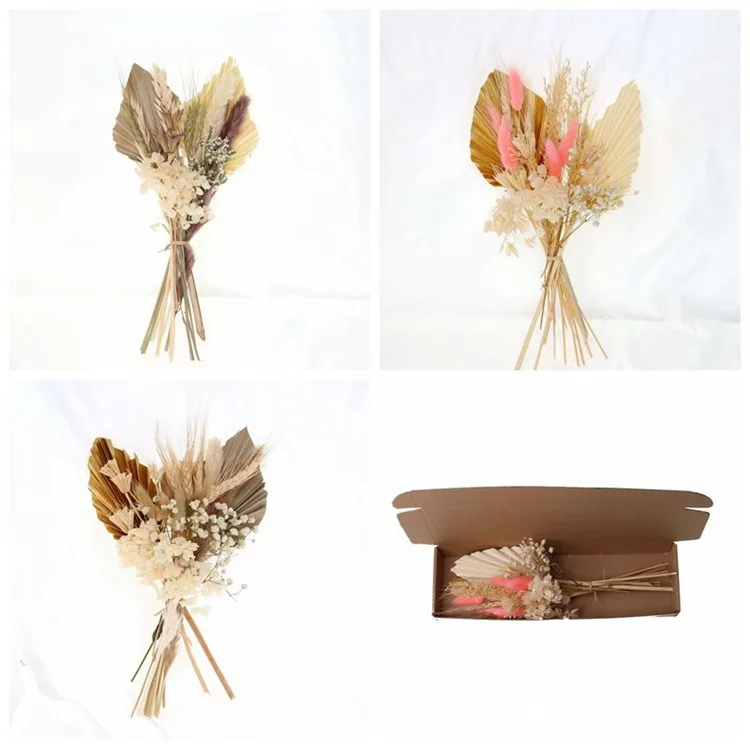Pampas Grass Real Natural Pampas Grass Dried Flower Decor Pompous ...