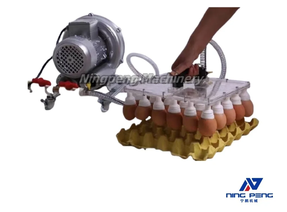 Vacuum Egg Lifter Egg Candling Table and Transfer Machine Automatic Egg ...