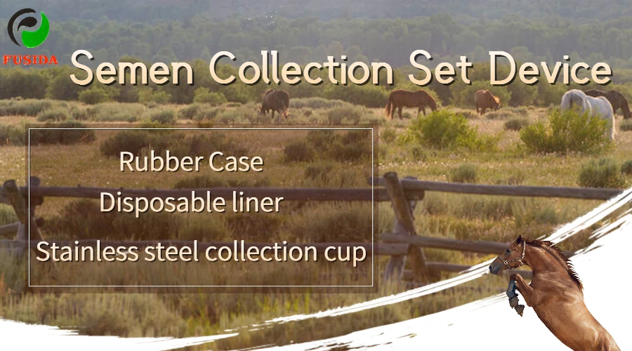 Veterinary Farm Horse Artificial Insemination Vagina Equipment - Buy ...