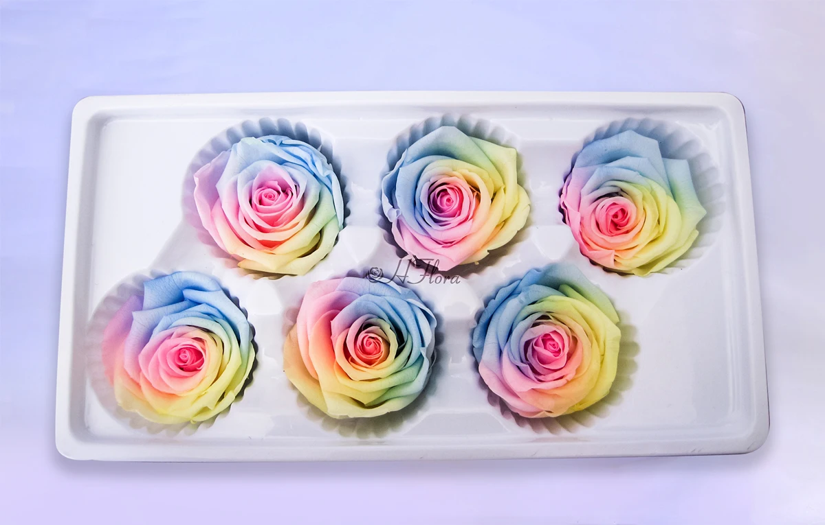 Hflora Immortal Preserved Roses - High Quality Eternelle Rosas Preservadas