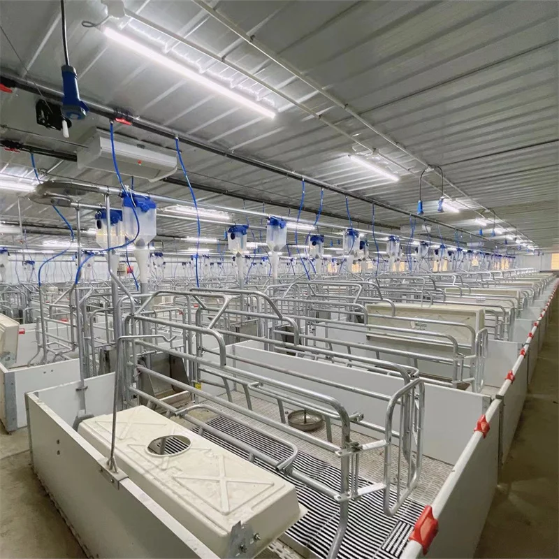 Pig Housing Design Essential Pig Farming Equipment| Alibaba.com