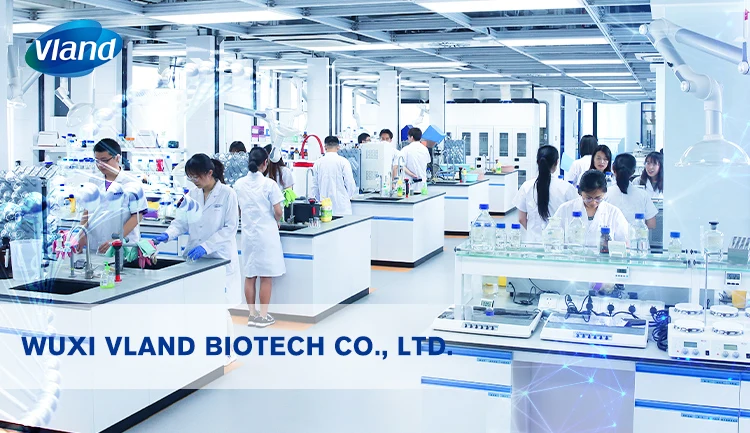 VLAND Food Grade Xylanase 100000u/g for Bakery - CAS 37278-89-0