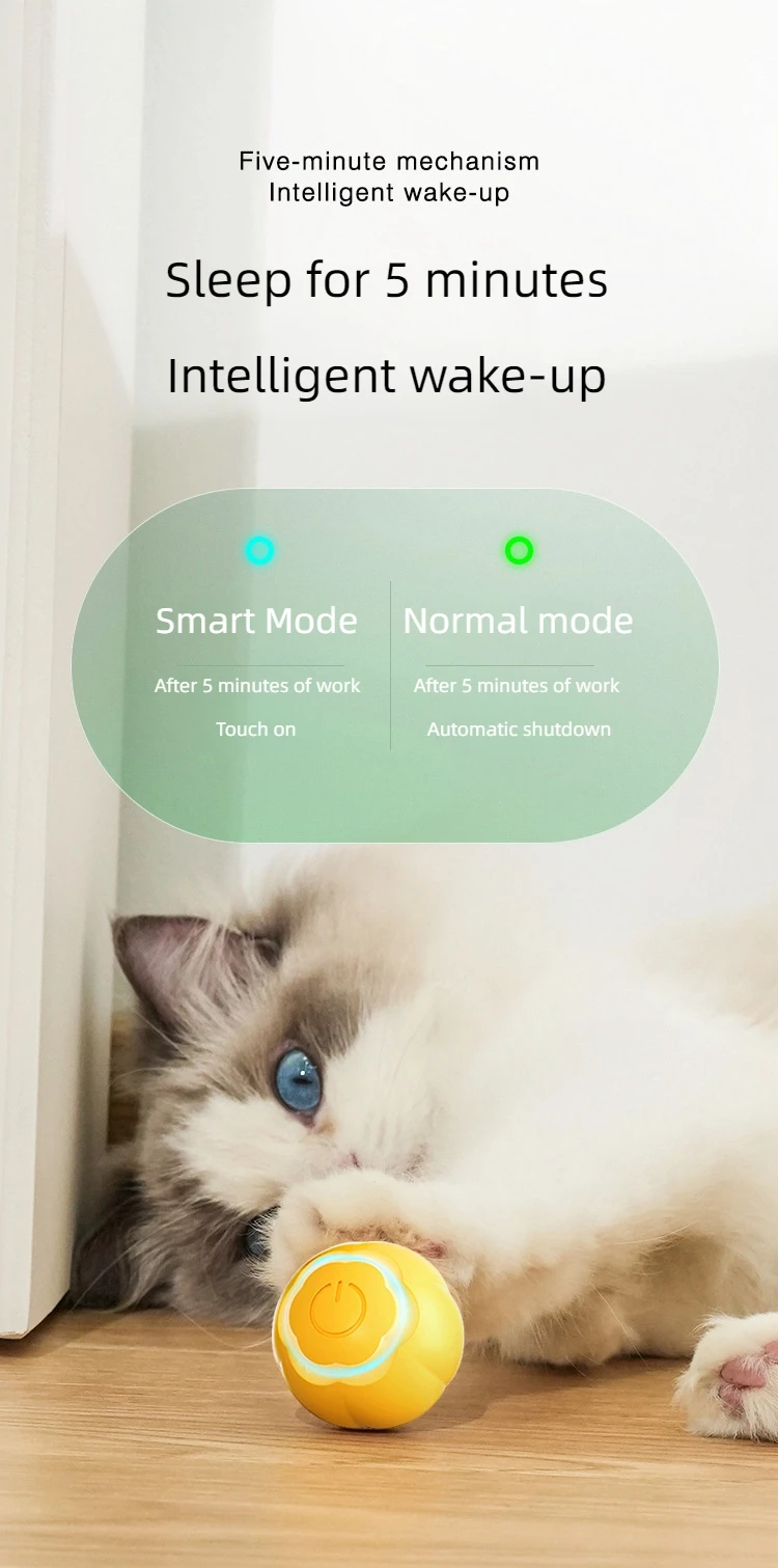 Automatic Rolling Intelligent Cat Toys Indoor Electric Pet Training ...