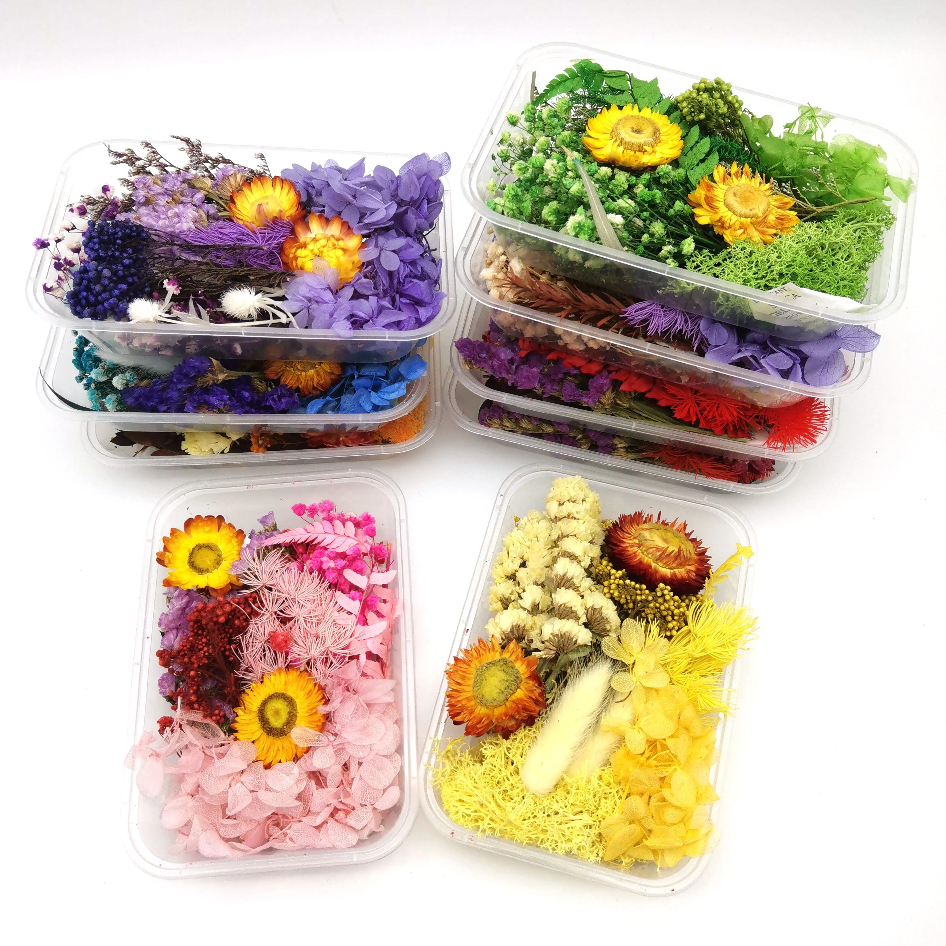 DIY Random Flowers in Box - Dried Flower for Resin Art