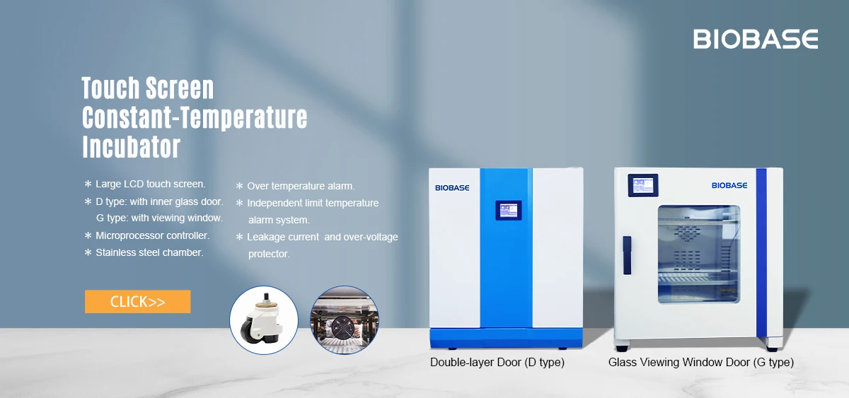 BIOBASE Forced Air Drying Oven - Efficient Laboratory Solution