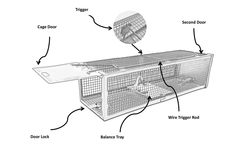 Humane Live Catch Rat Trap with 2 Entry Points - Eco-friendly