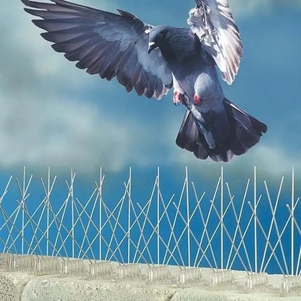 Stainless Steel Physical Barriers Anti Pigeon Bird Deterrent Squirrel ...